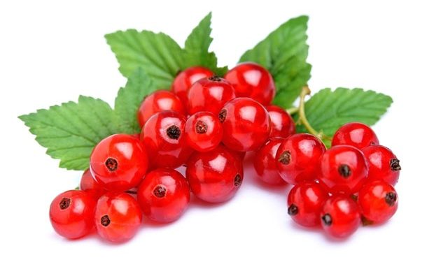 RIBIZLA – Ljubušaci